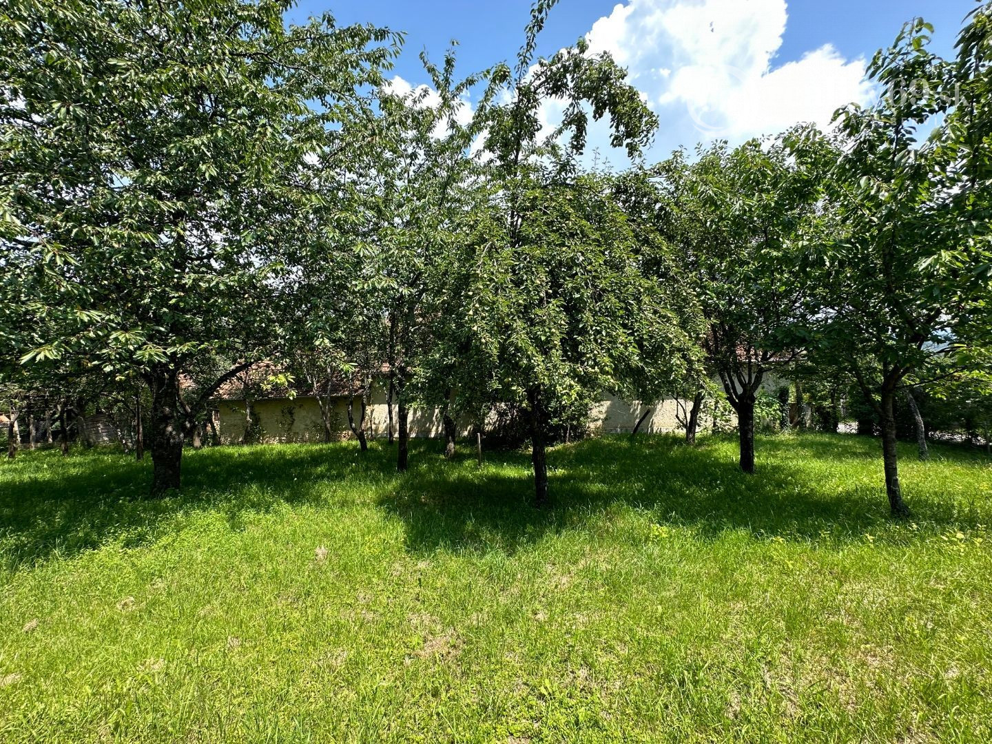 MAĎARSKO - VARBÓC DOM VO VÝBORNOM STAVE, VEĽKÝ POZEMOK. | Reality69